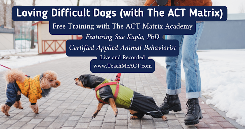 Loving Difficult Dogs (with The ACT Matrix) - Crowdcast