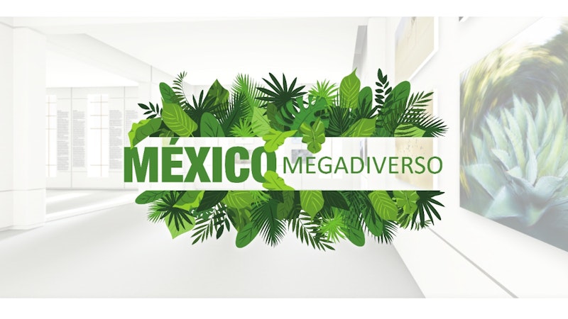 México Megadiverso | Exposición fotográfica con causa - Crowdcast